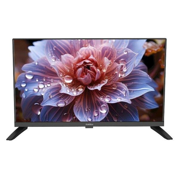 Телевизор GoldStar LT-24R1000
