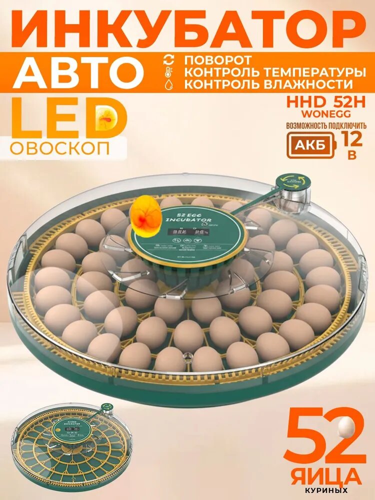 Инкубатор HHD 52H WONEGG автоматический для яиц 220В/12В от сети и аккумулятора, с овоскопом