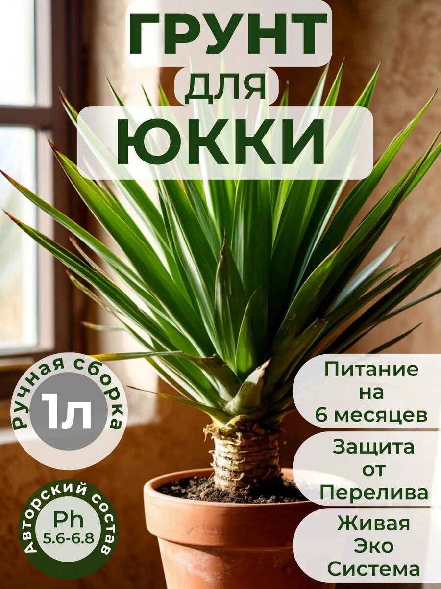 Готовый авторский грунт для Юкки, премиум 1 литр