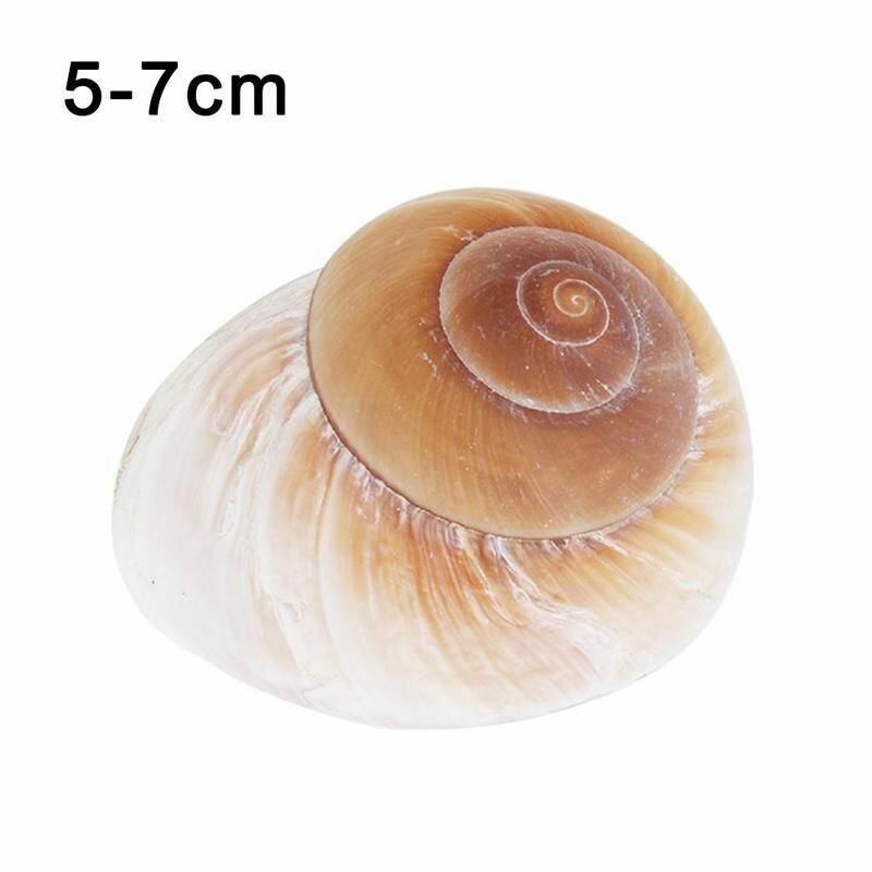 Декорации в виде морских ракушек для аквариума,5cm