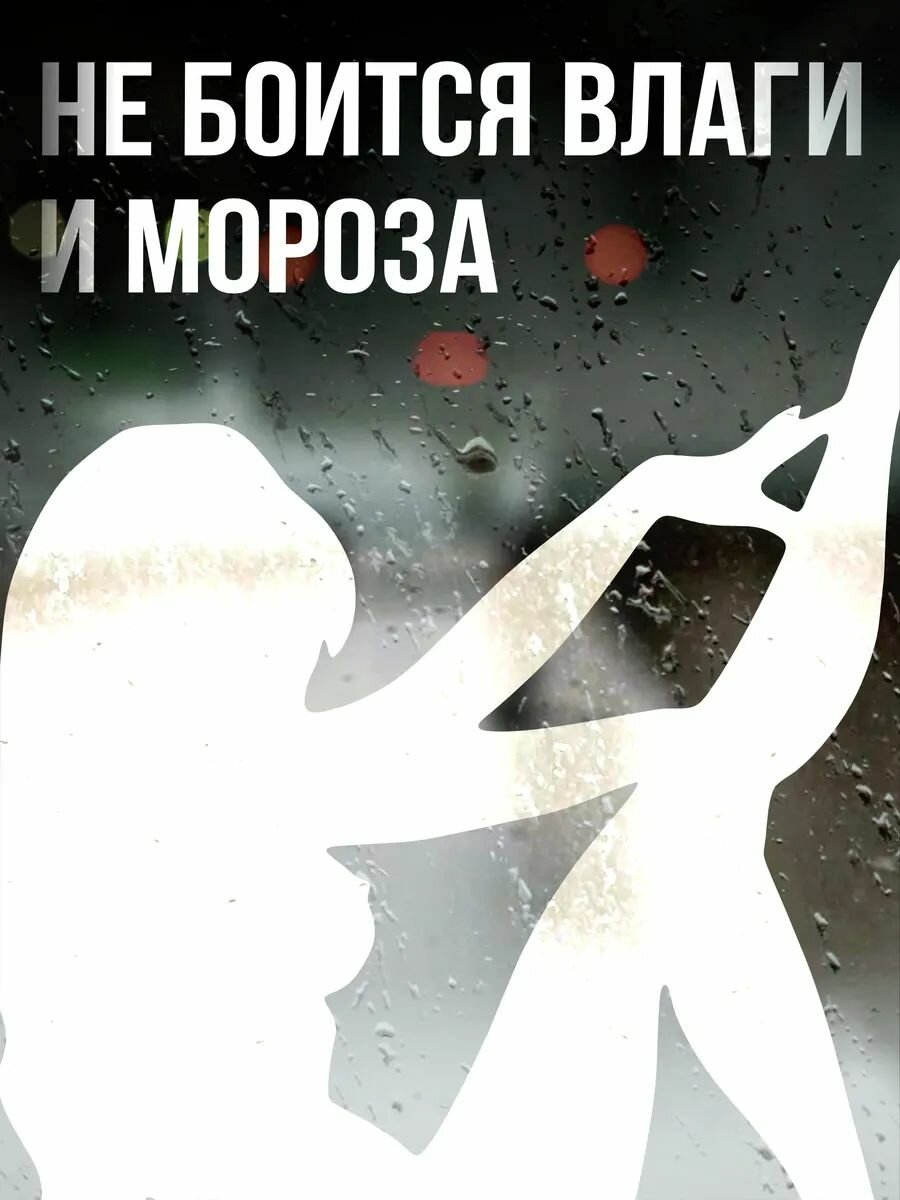 Наклейка на авто Девушка — фото 1