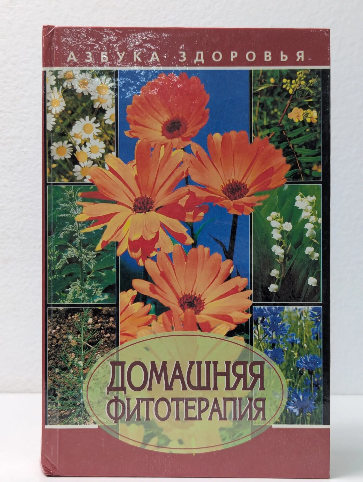 Азбука здоровья. Домашняя фитотерапия Сычева Н. Г. (сост.) 1997