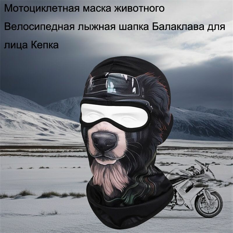 Балаклава