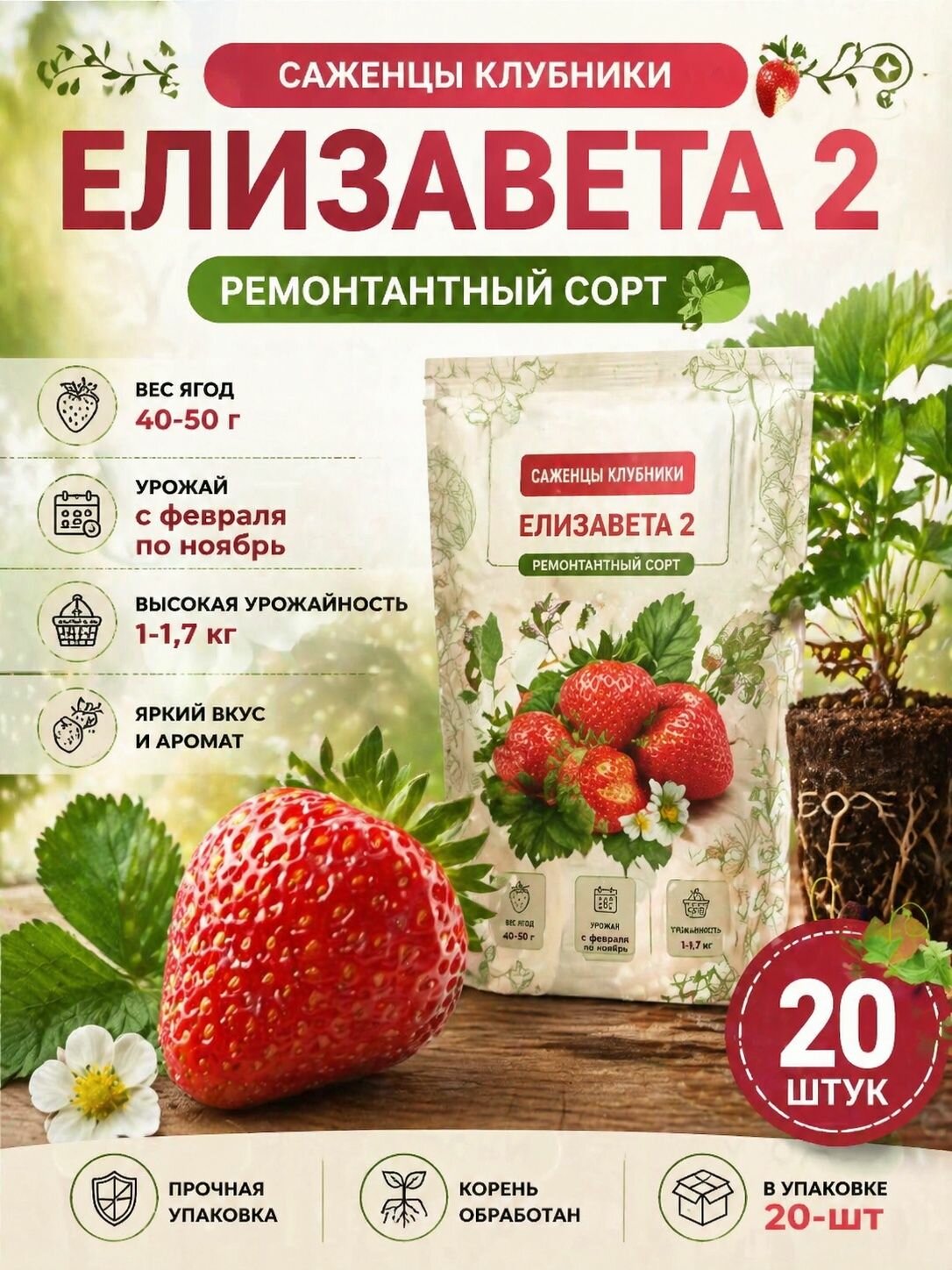 Саженцы клубныки Елезавета 2 / 20-Корней