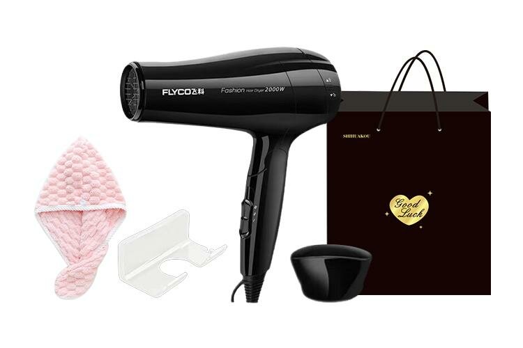 Фен унисекс FLYCO Fashion Hair Dryer 2000W FH6231