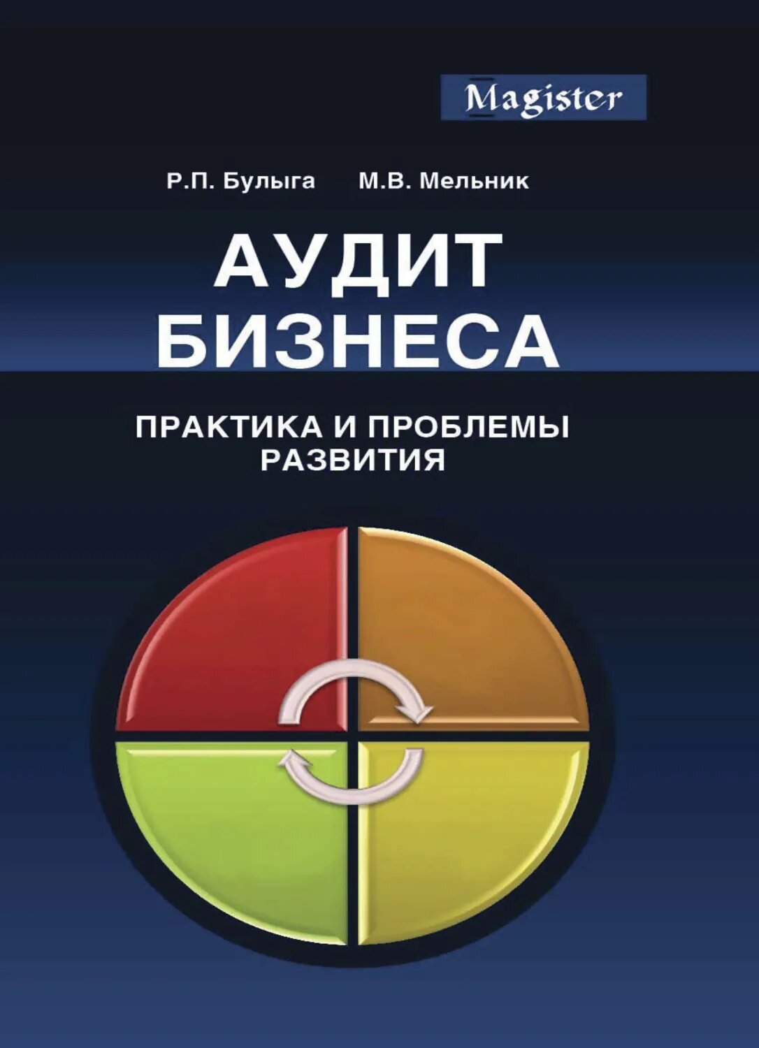 Аудит бизнеса. Практика и проблемы развития [Цифровая книга]