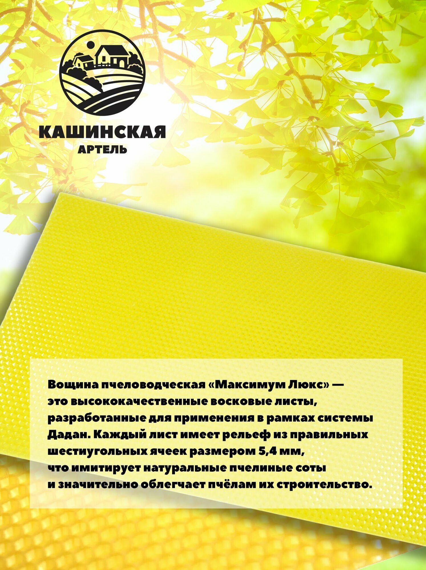 Вощина Рута — фото 1