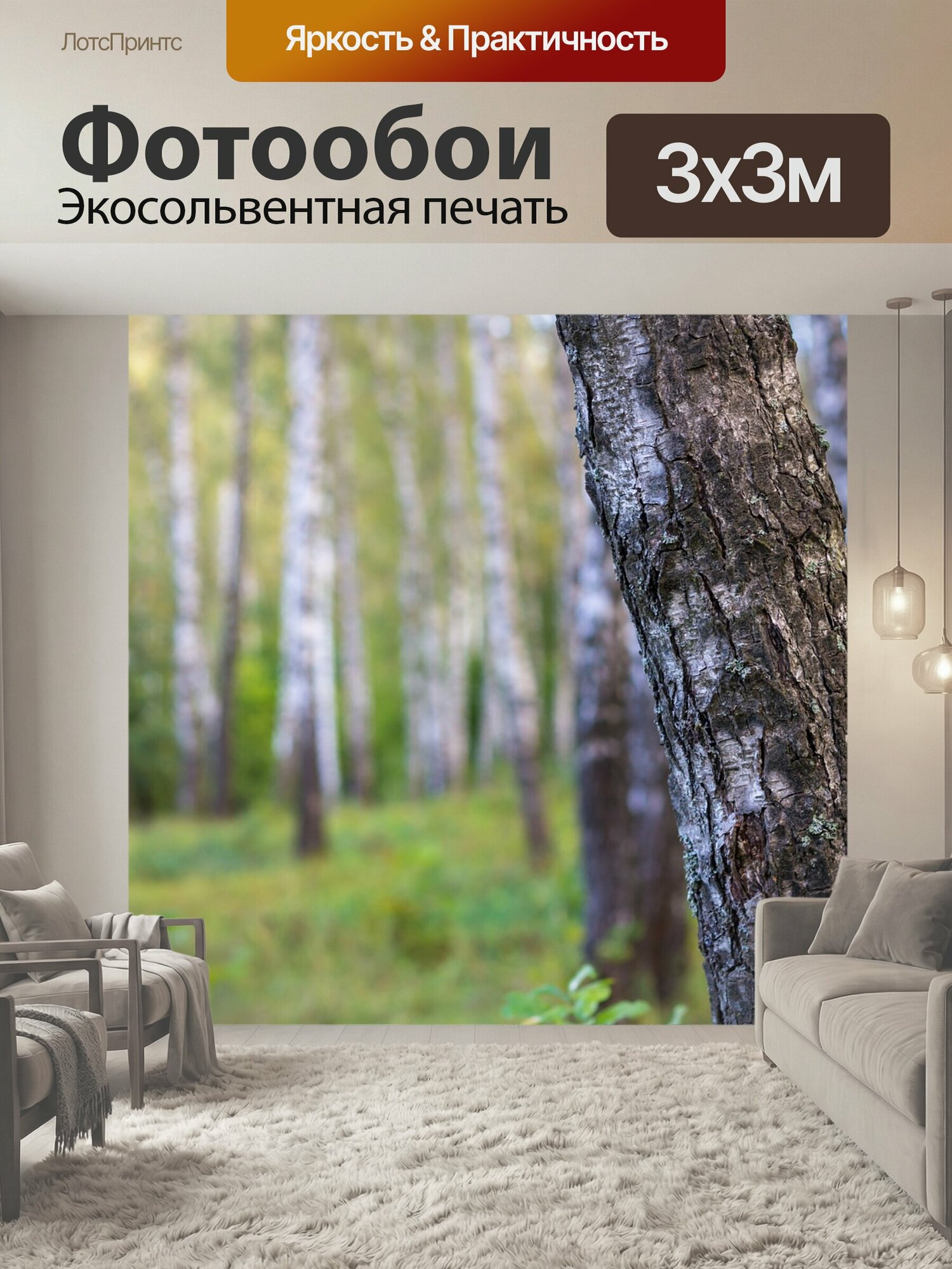 Фотообои "Березы, березовая роща, лес" 300x300 см. экосольвентная печать