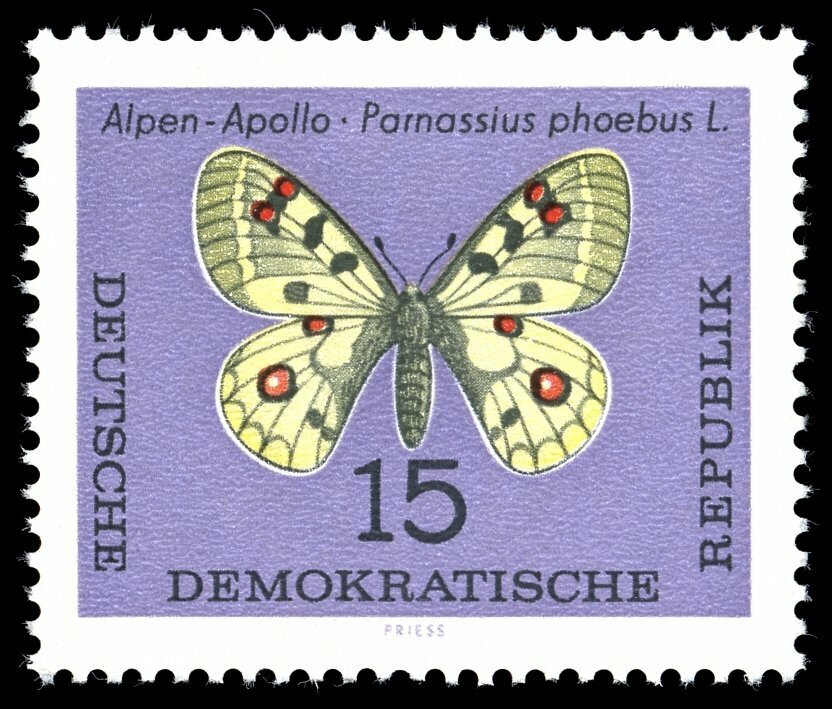 (1964-002) Марка Германия (ГДР) "Малый Аполлон" Бабочки II гашеная