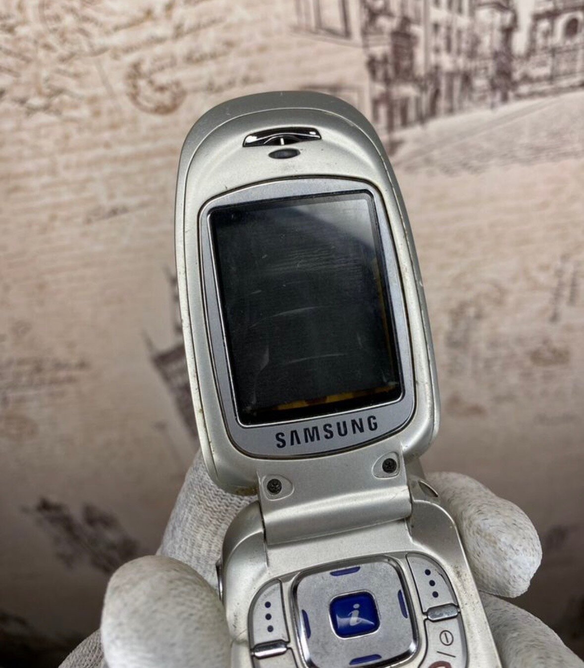 Samsung SGH-X450