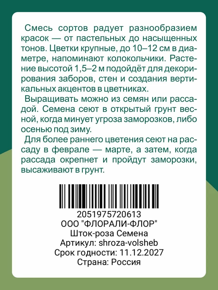 Шток-роза Семена — фото 1