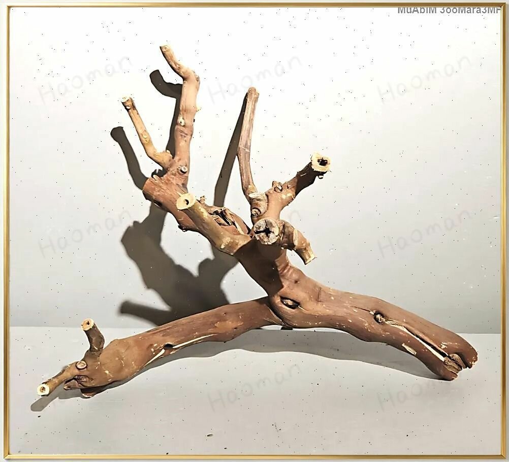 Коряга из виноградной и террариумов, дизайн случайный, размер 18-25 см 1 шт, Универсальное украшение для террариумов экзотических животных. коряга для террариума виноградная коряга декор для террариума