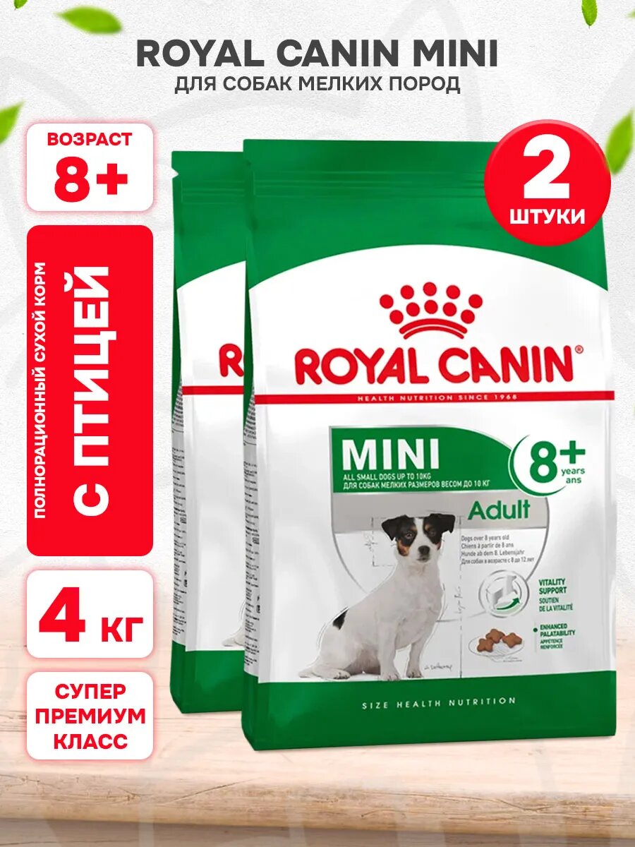Корм сухой Royal Canin Mini Adult 8+ для пожилых собак маленьких пород старше 8 лет, 4 кг x 2 шт