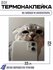 Термонаклейка Кот