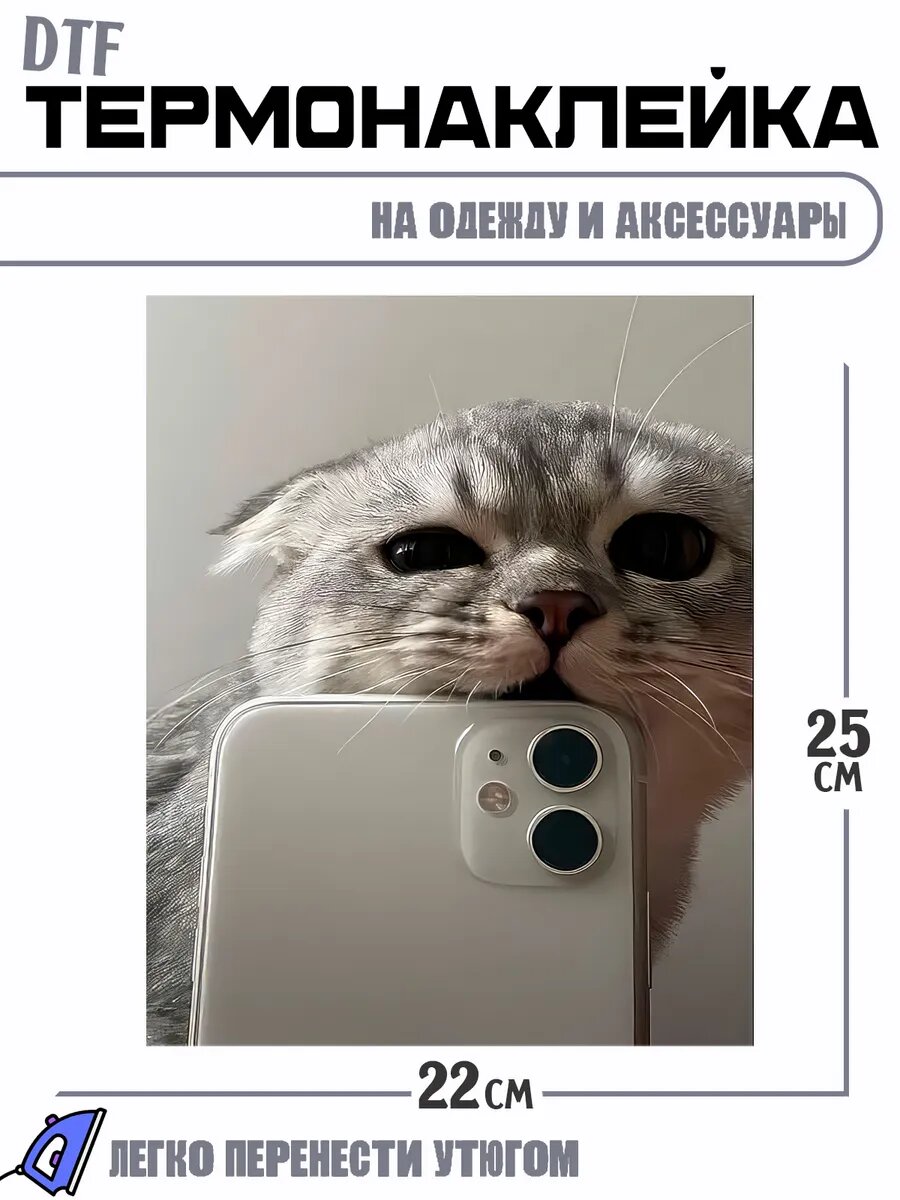 Термонаклейка Кот