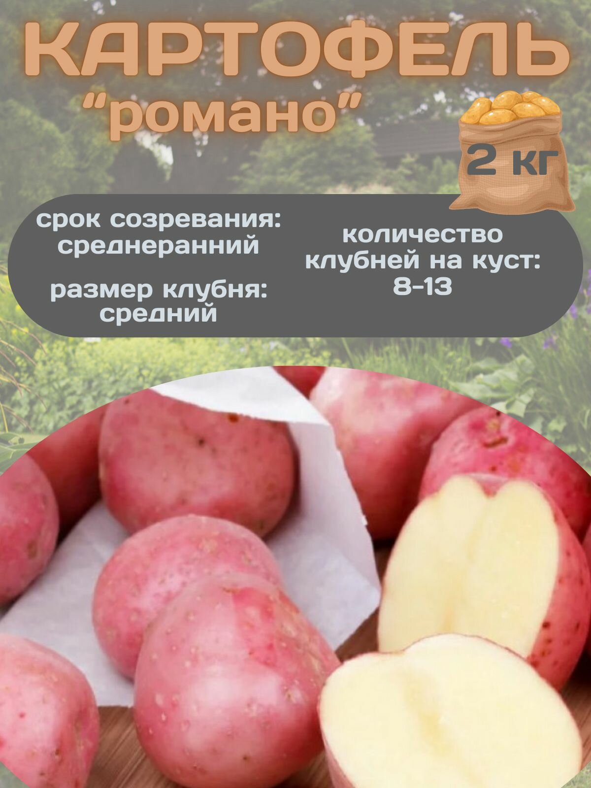 Картофель семенной Романо 2 кг, на посадку