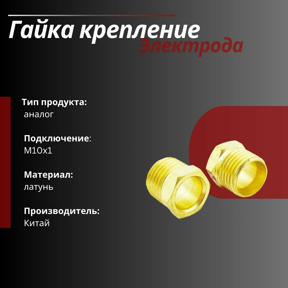 Гайка крепления электрода (М10х1) 100-012: 2 шт