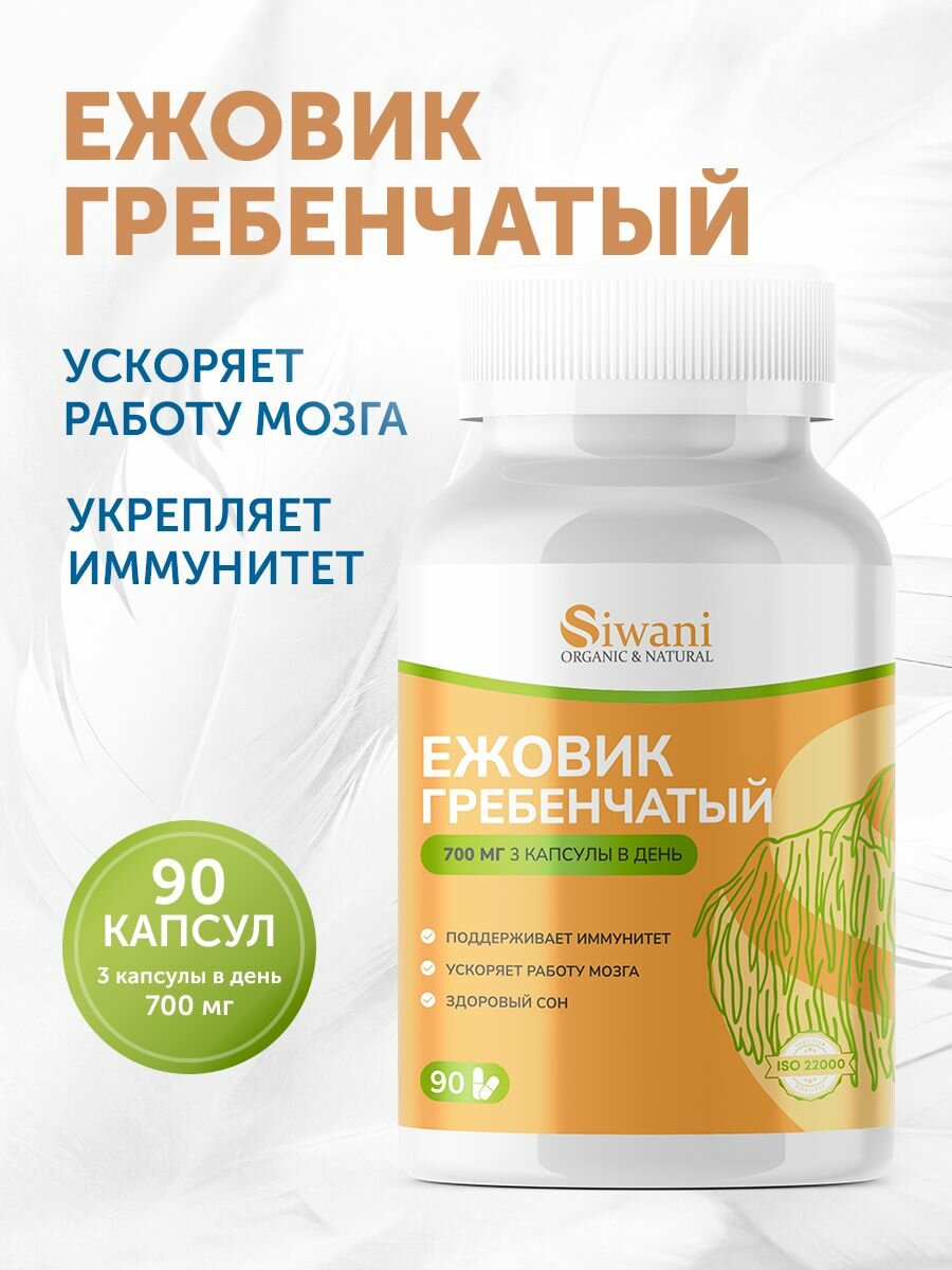 Ежовик гребенчатый капсулы / Ежевик гребечатый 700 мг экстракт / для памяти и мозга 90 капсул
