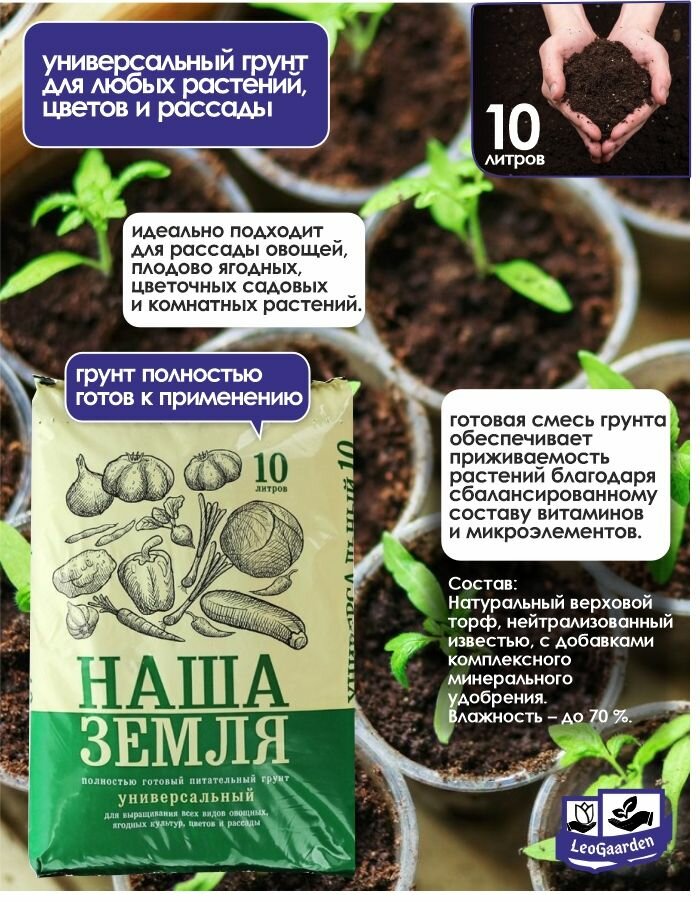 Грунт, Наша земля, 10 л