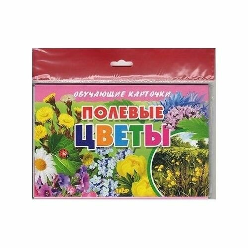 Обучающие карточки Литур Полевые цветы. В европакете