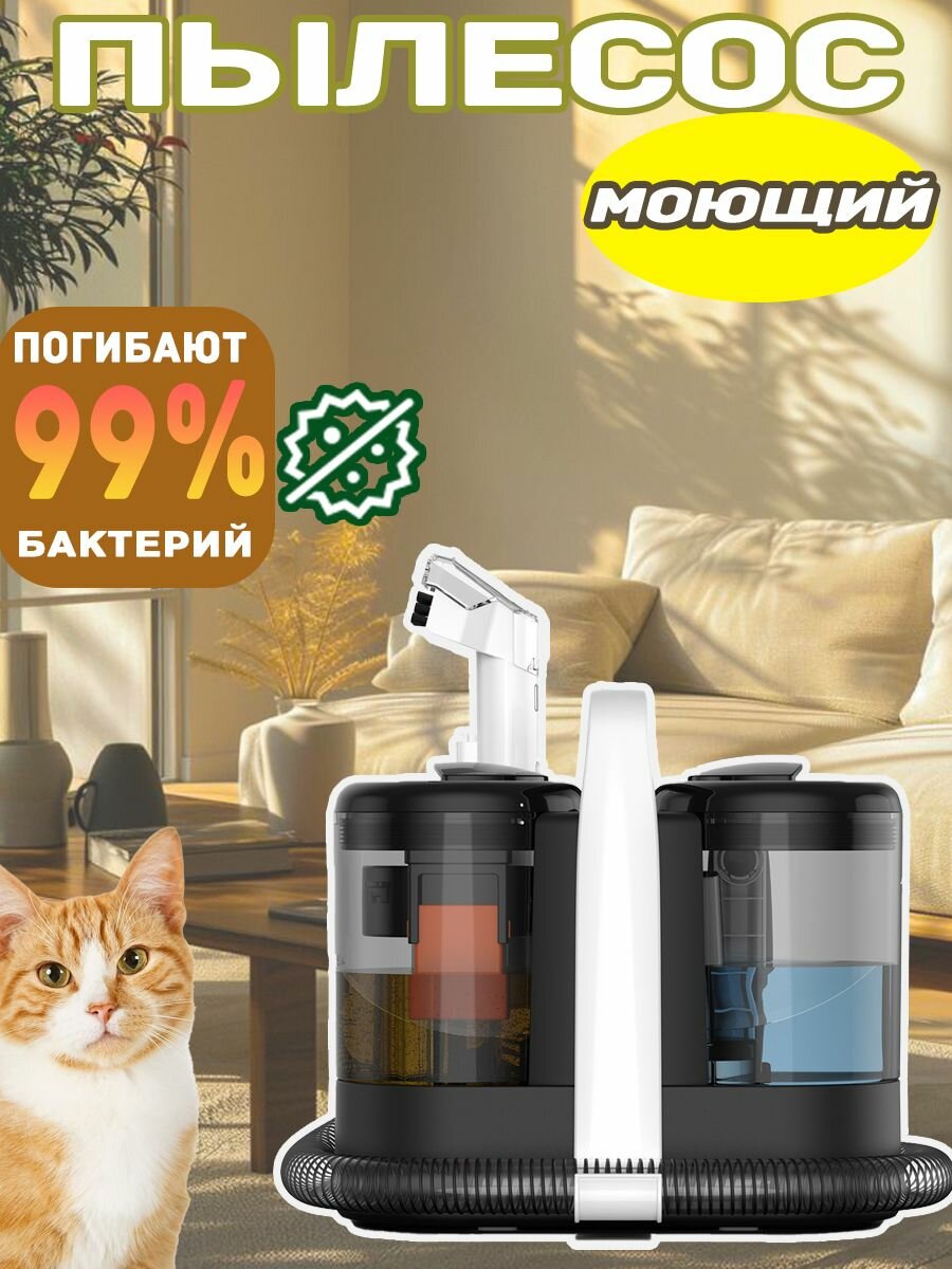 Пароочиститель