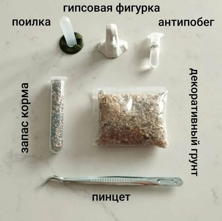 Know Easyx Муравьиная ферма стандартная классическая базовая модель серии — фото 1