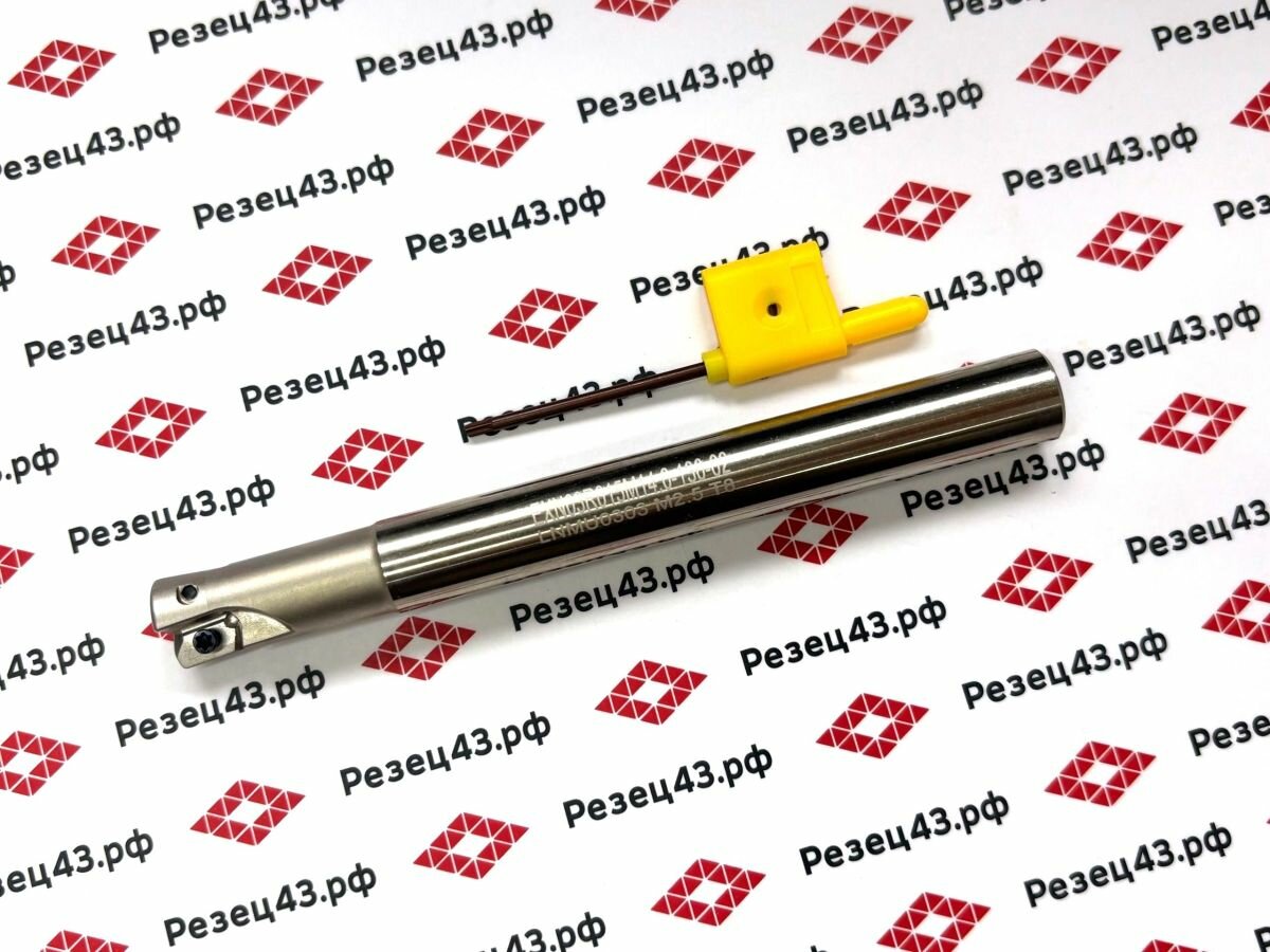 Фреза концевая EXN03R-C14-15-130-2T под сменные пластины, в пластиковом кейсе