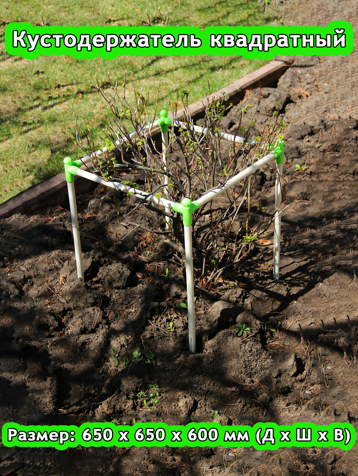 Даяс, Кустодержатель "Фигурный" квадратный. Размер: 650*650*600 мм. (ш*д*в)