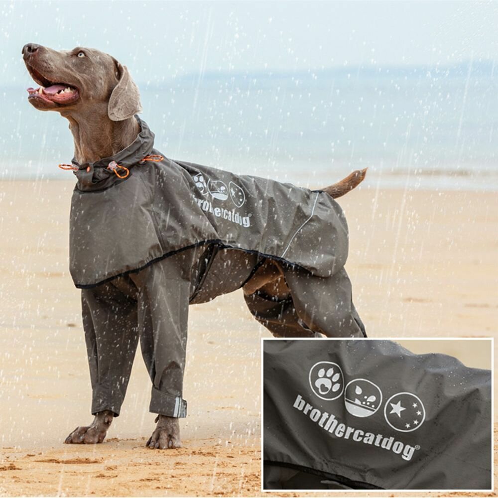 Комбинезон для мопса и французского бульдога, демисезонная одежда для животных, дождевик водоотталкивающий ветронепродуваемый
