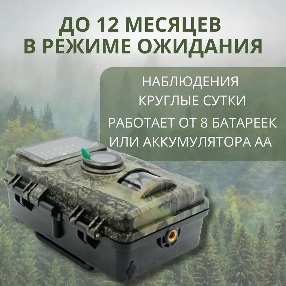 Фотоловушка — фото 1