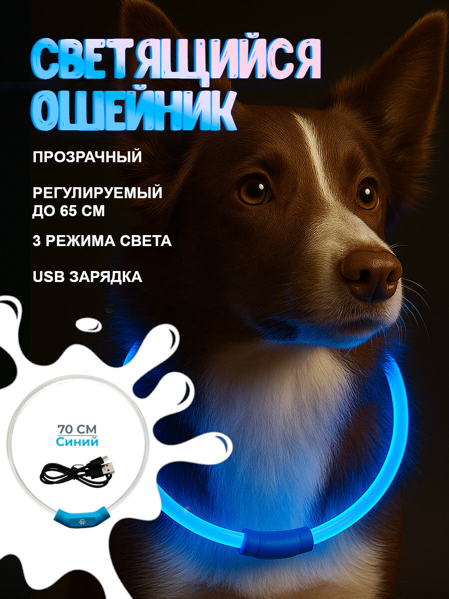 Ошейник светящийся светодиодный для собак с USB зарядкой 70 см, прозрачный с синим