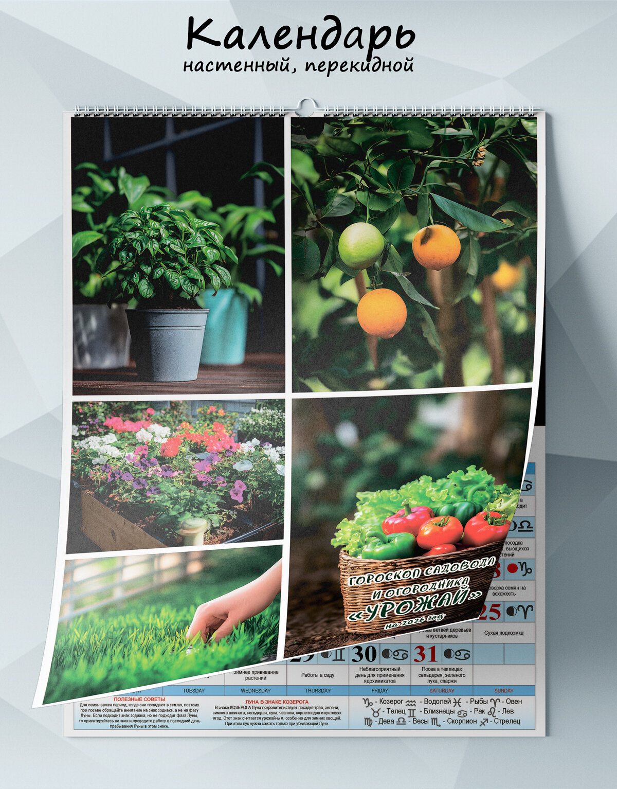 Календарь настенный, перекидной гороскоп садовода и огородника Урожай на 2026 год