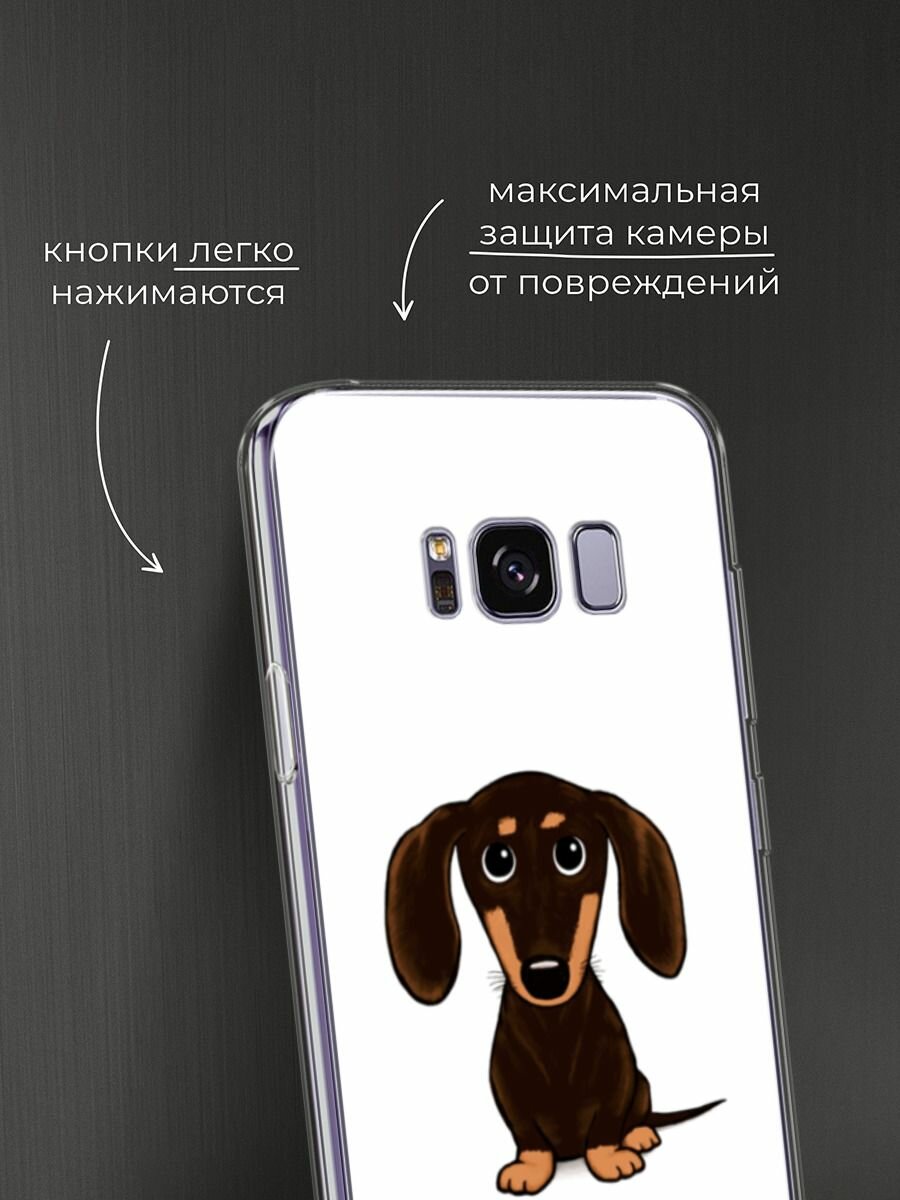 Чехол на Samsung Galaxy S8 + / Самсунг Галакси С8 Плюс с принтом "Маленькая такса" — фото 1