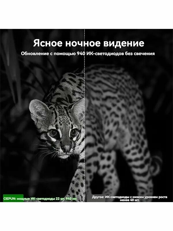 Фотоловушка — фото 1