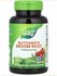 Butcher’s Broom Root