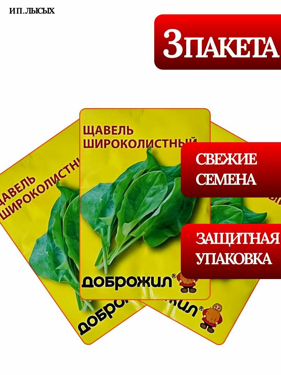 Семена Щавель "Широколистный"
