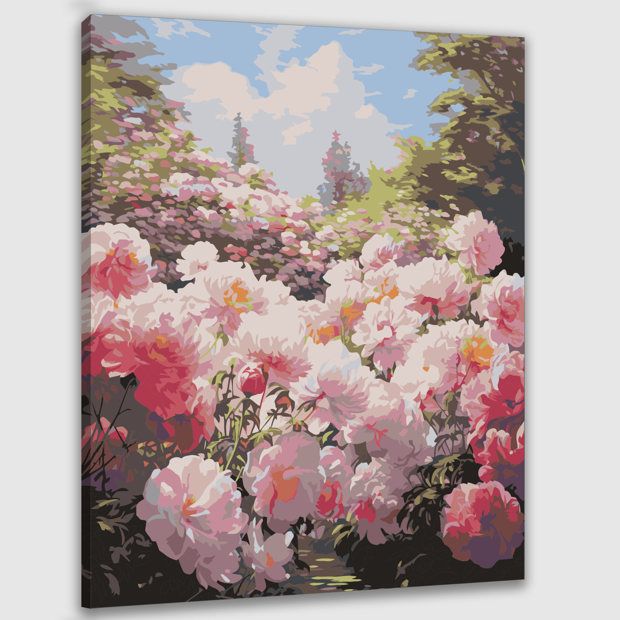 Картина по номерам 40x50 см, картина, масло, сад, пионы, высокие, гордые, цвета, контраст, спокойный фон, голубое небо