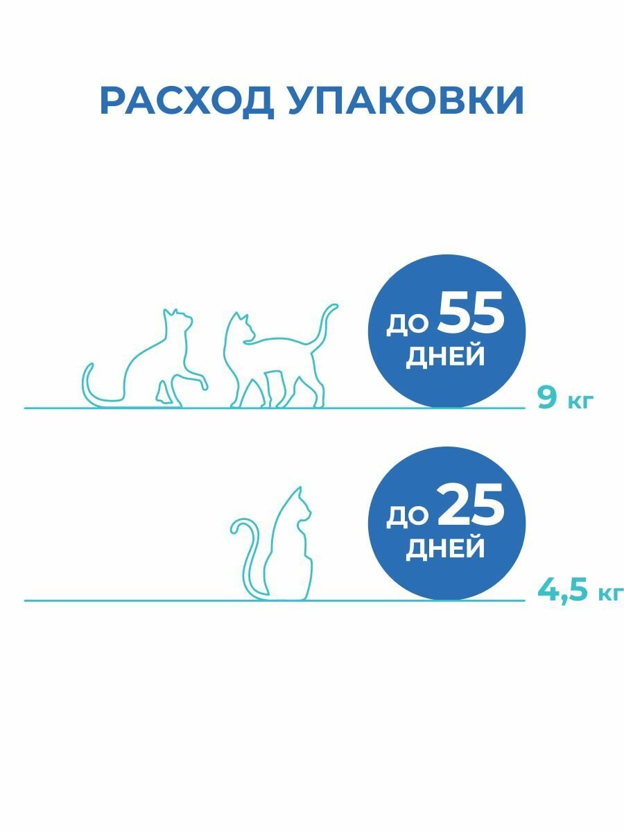 Наполнитель Бутик