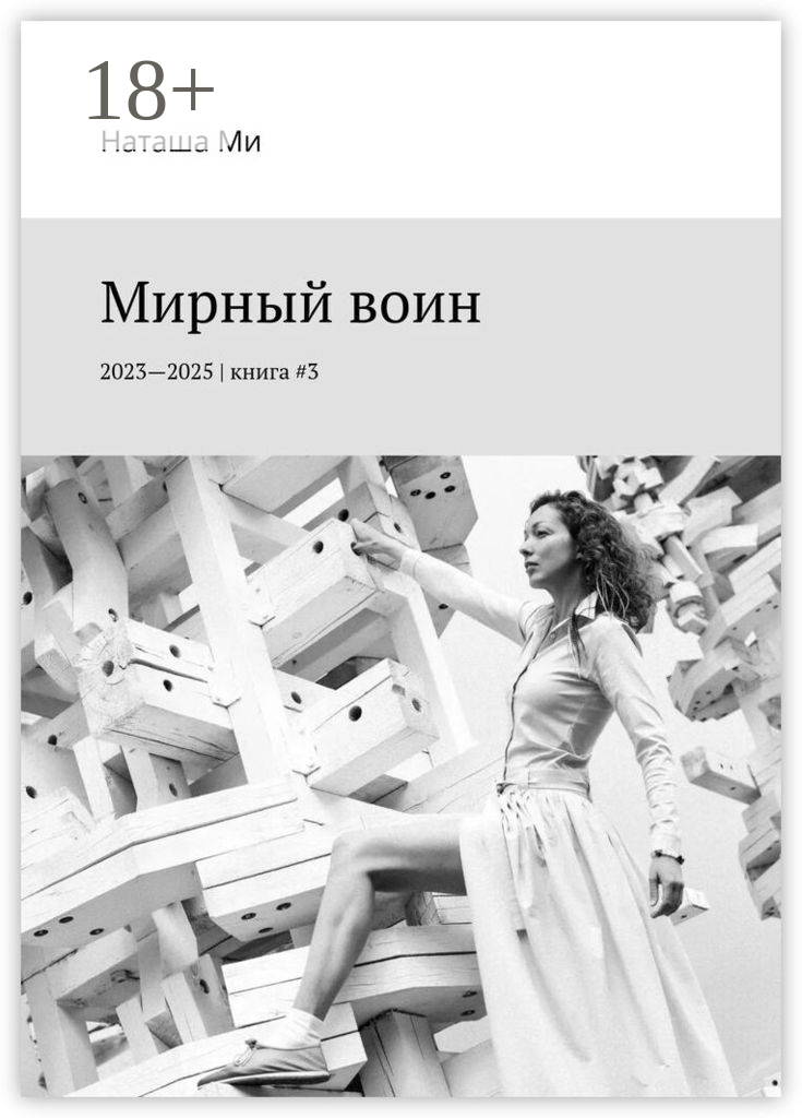 Мирный воин