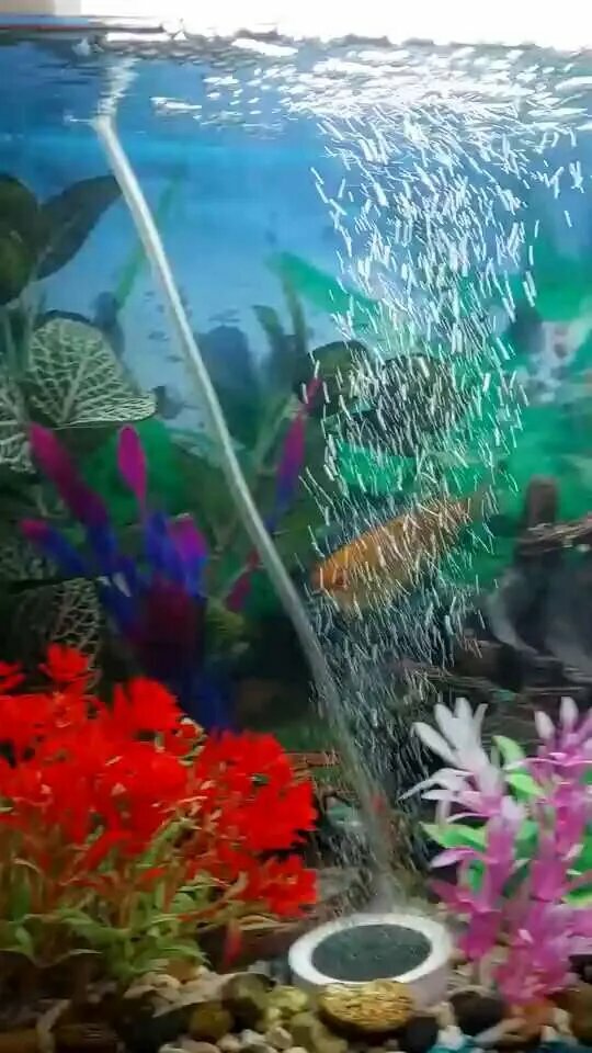 Аквариумный компрессор, AIR-4000 двухканальный до 400 литров