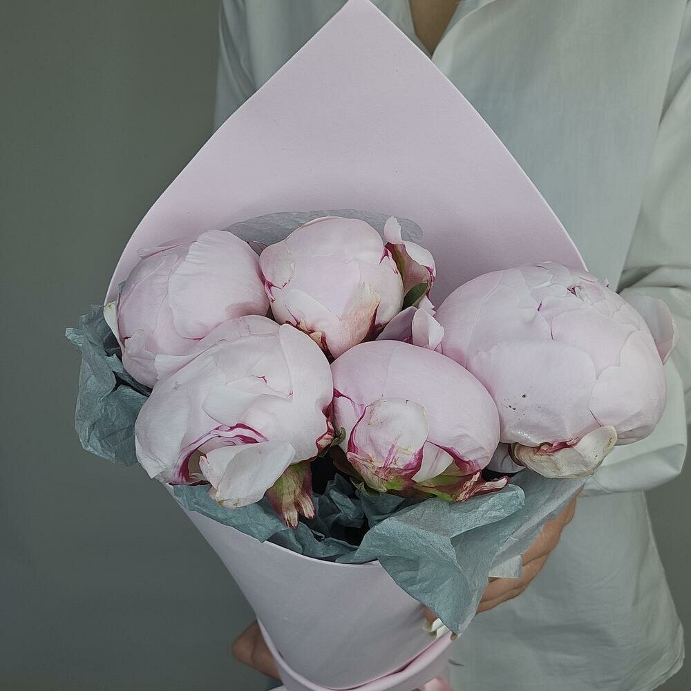 Букет из 5 розовых пионов Сара Бернар в нежной авторской упаковке