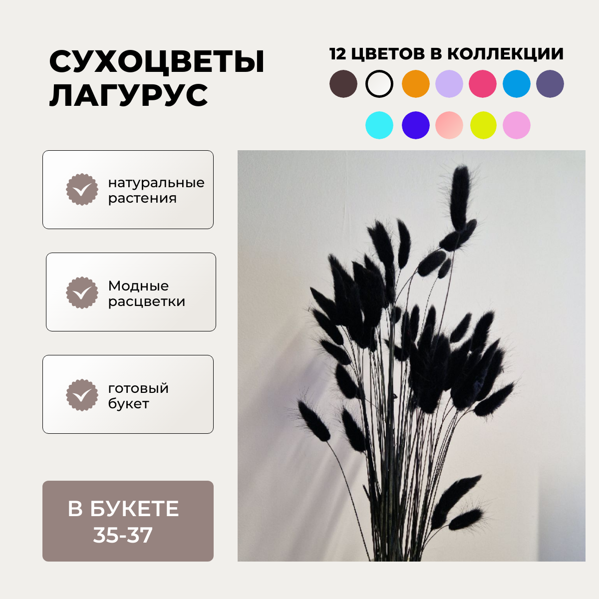 Сухоцвет Лагурус черный для декора, букет "Зайцехвост" (35 штук)