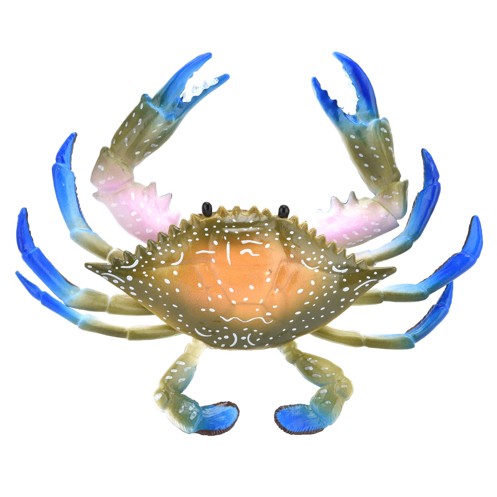 Realistic Marine Animal Crab Model Simulated Plastic Kid's Educational Props Toys(PL1271086 Chromatic )