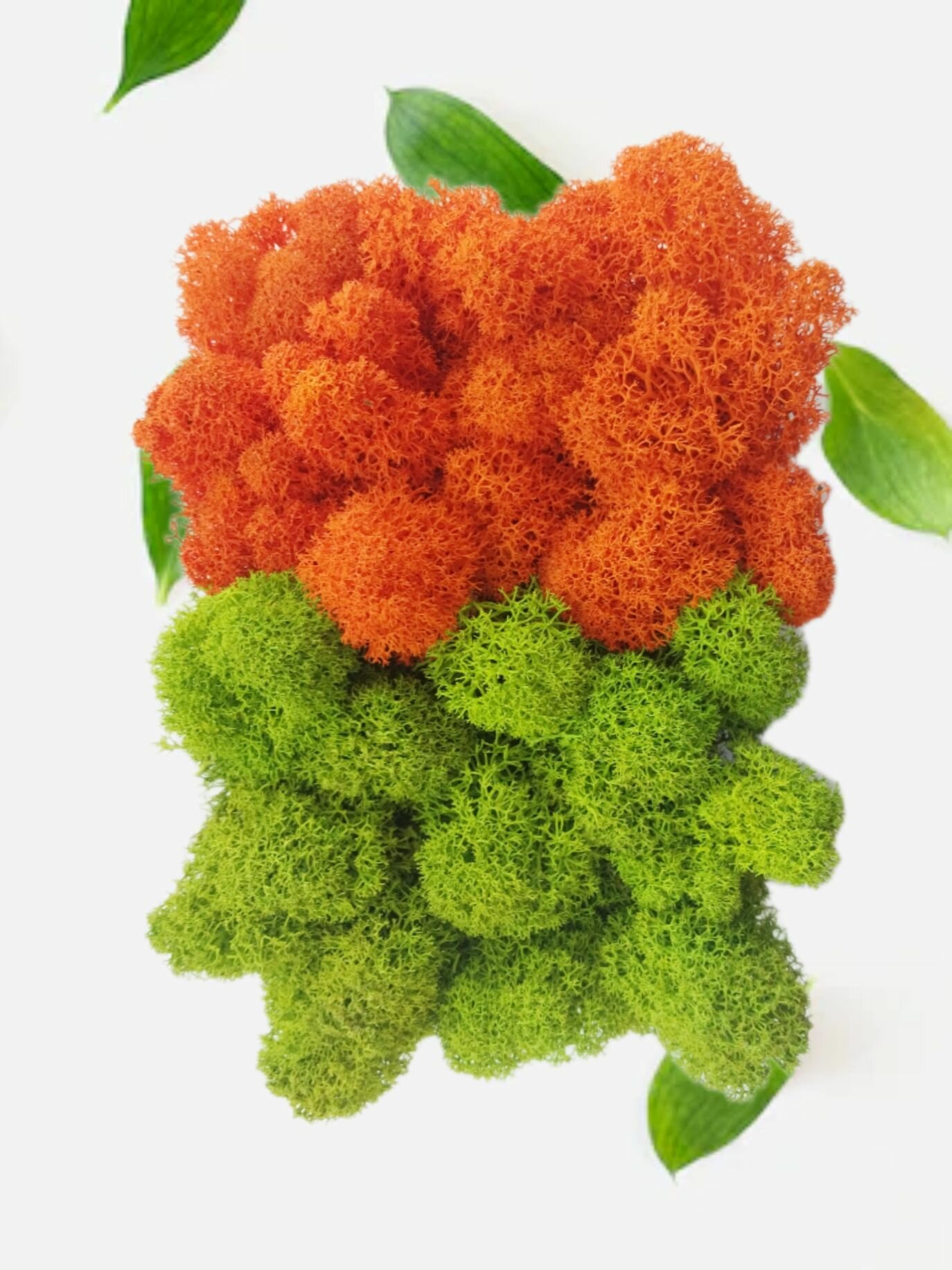 Мох стабилизированный набор - Персиковый-Салатовый, 100 гр