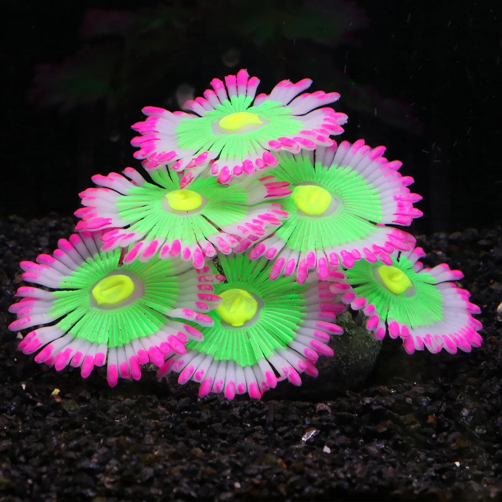 Мягкий силиконовый аквариумный коралл, аквариумные коралловые украшения, искусственный орнамент для украшения аквариума, аксессуары, подсолнух