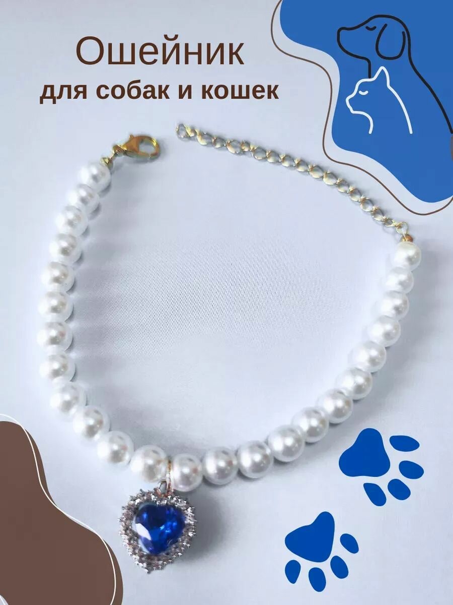 Ошейник