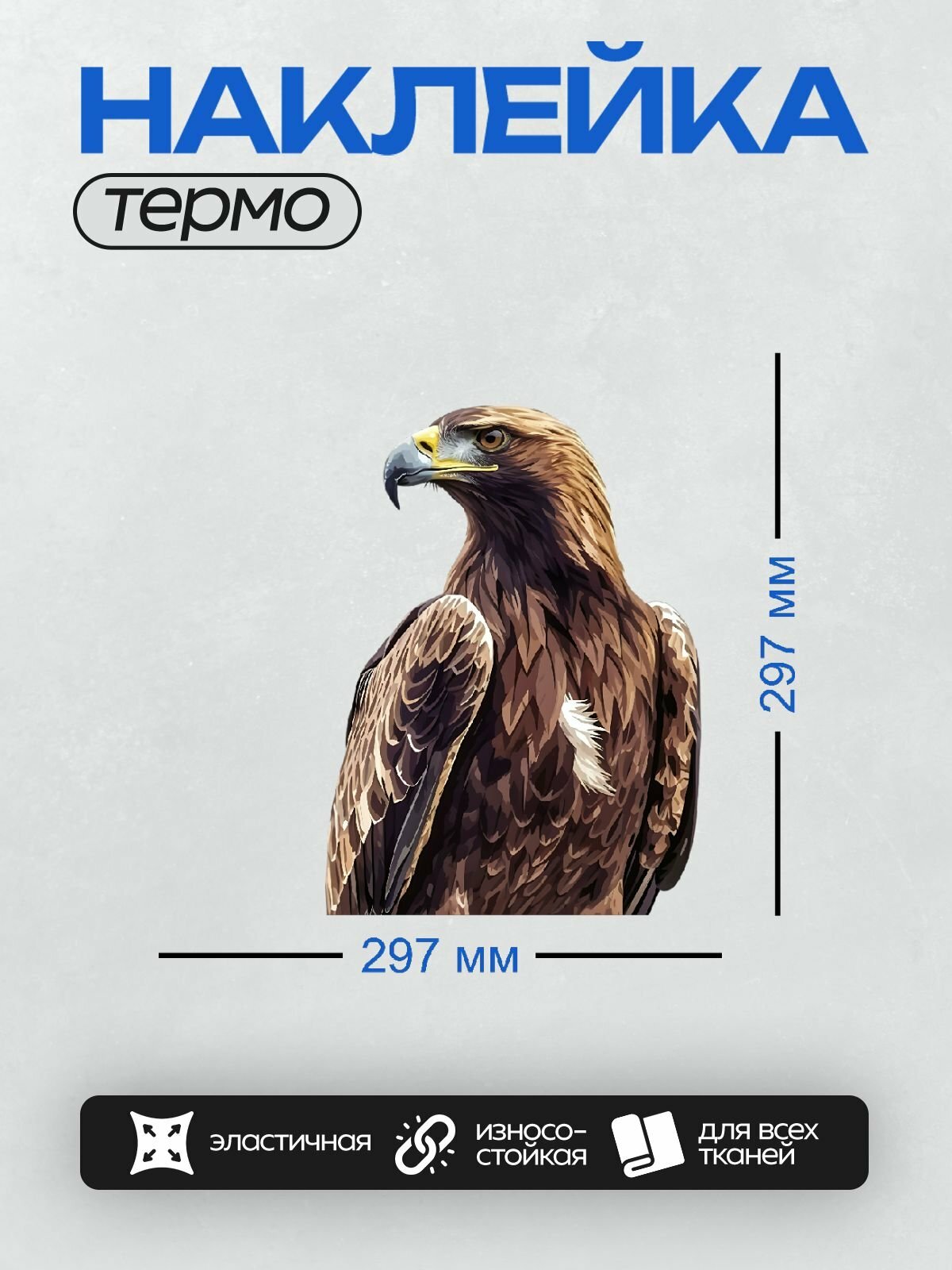 Термонаклейка PrintyFull для одежды, термоаппликация / DTF печать / Могучий беркут