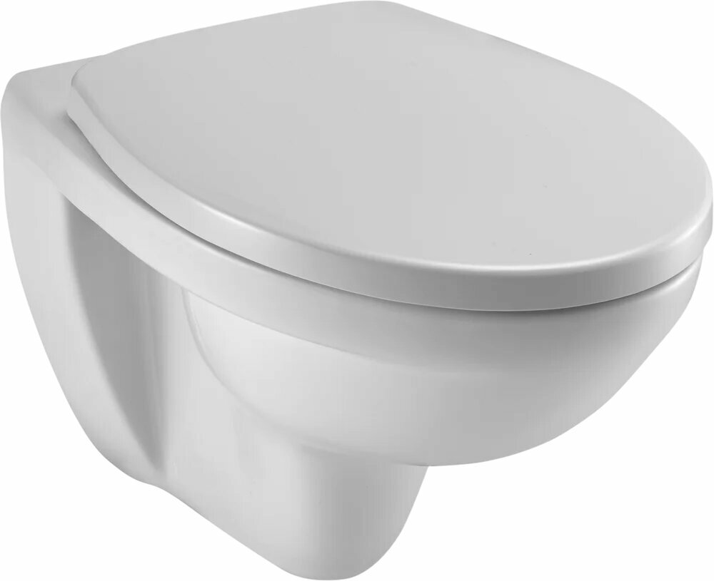 Унитаз подвесной Jacob Delafon Patio EDV102-00 E29025-NF безободковый, без бачка, фарфоровый, антивсплеск, белый, овальный