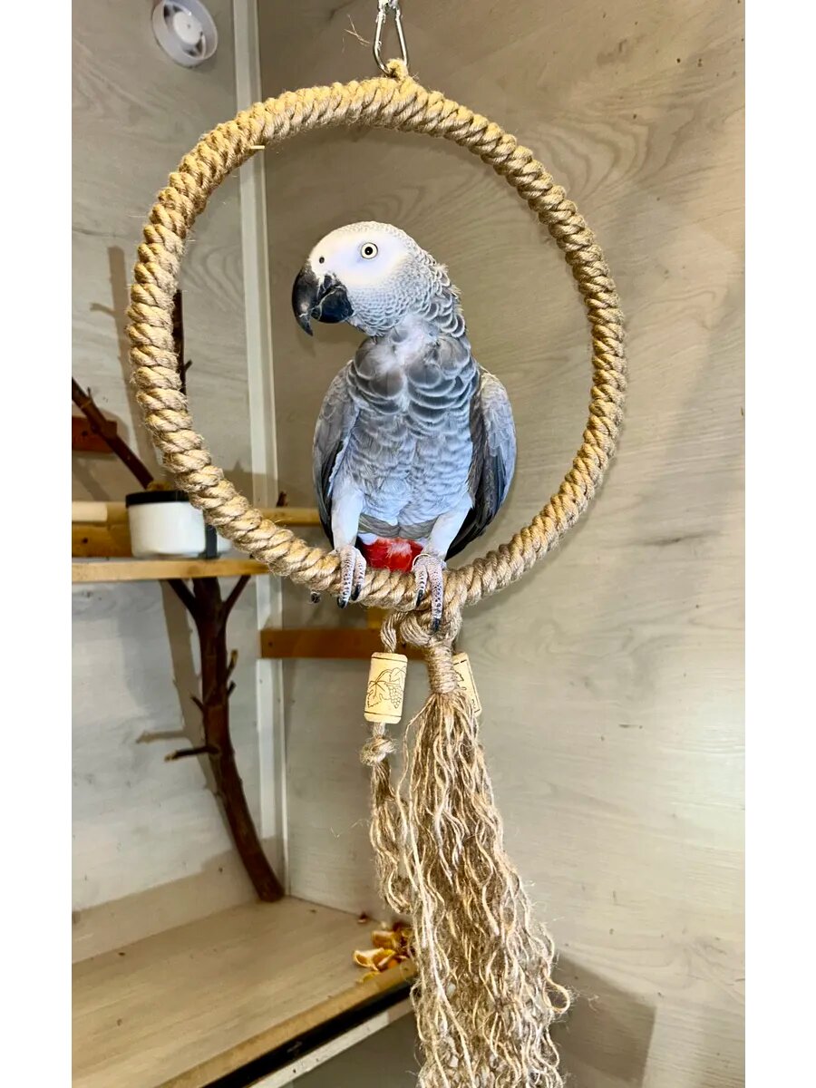 Джутовое кольцо с подвесными игрушками- качелька для попугая