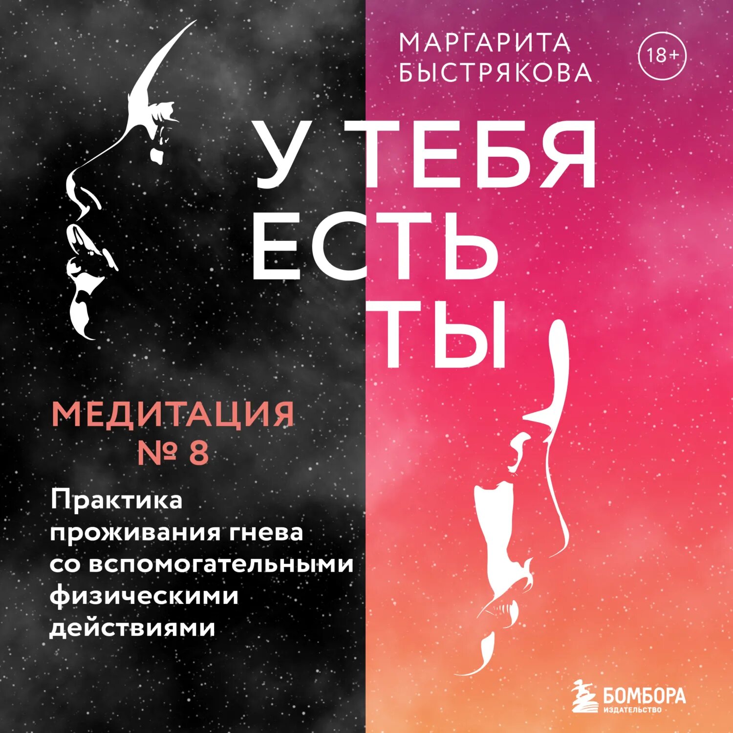 У тебя есть ты. Медитация 8. Практика проживания гнева со вспомогательными физическими действиями [Аудиокнига]